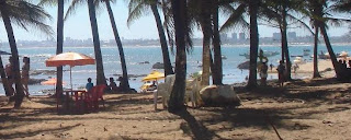 A Brasil 2014: Viajar a las hermosas playas de Itapoä o Itapuá (noen ...