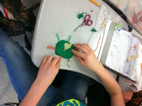 The Science Scoop: Neuron Modeling