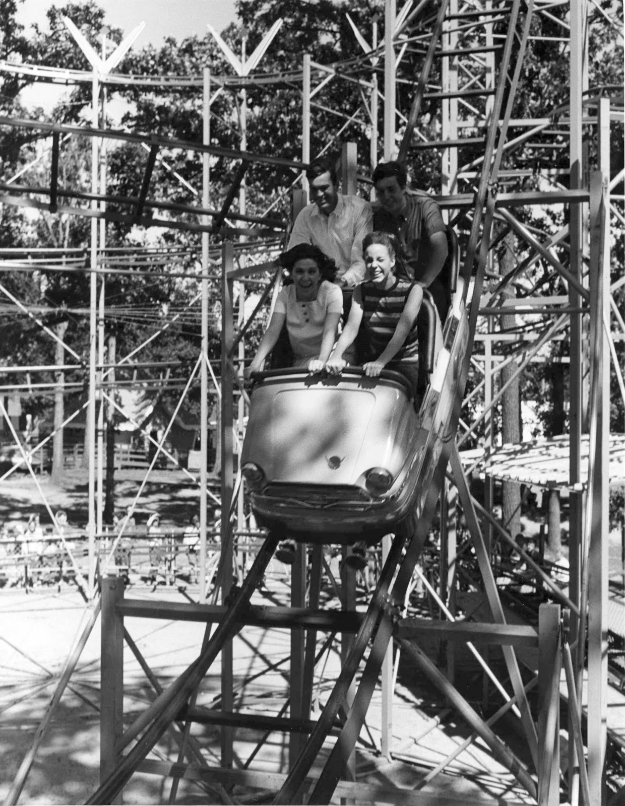 The Digital Research Library of Illinois History Journal ...