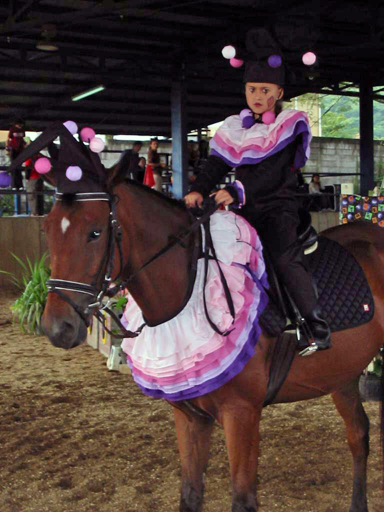 Horse Fancy Dress Ideas: Jester