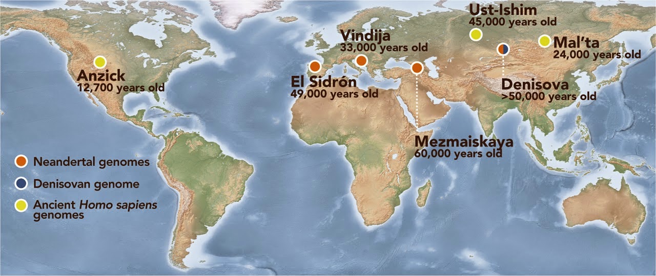El hombre de Ust'-Ishim. El genoma humano más antiguo.