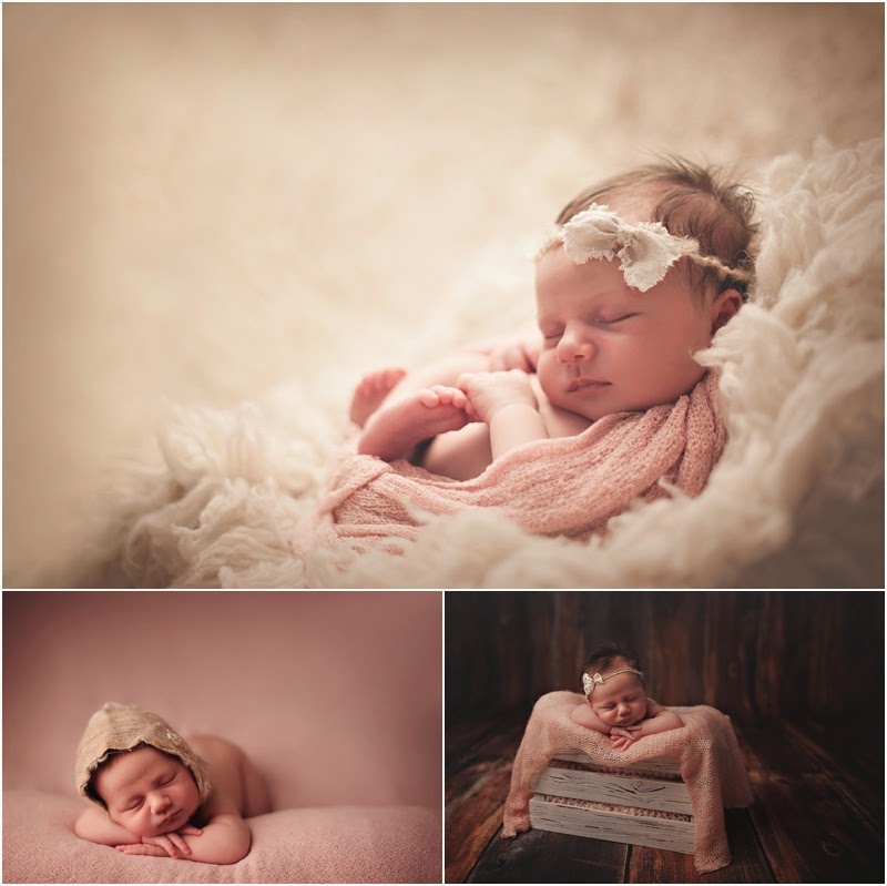 Connecticut Newborn Photographer | Laura Elyse Photography