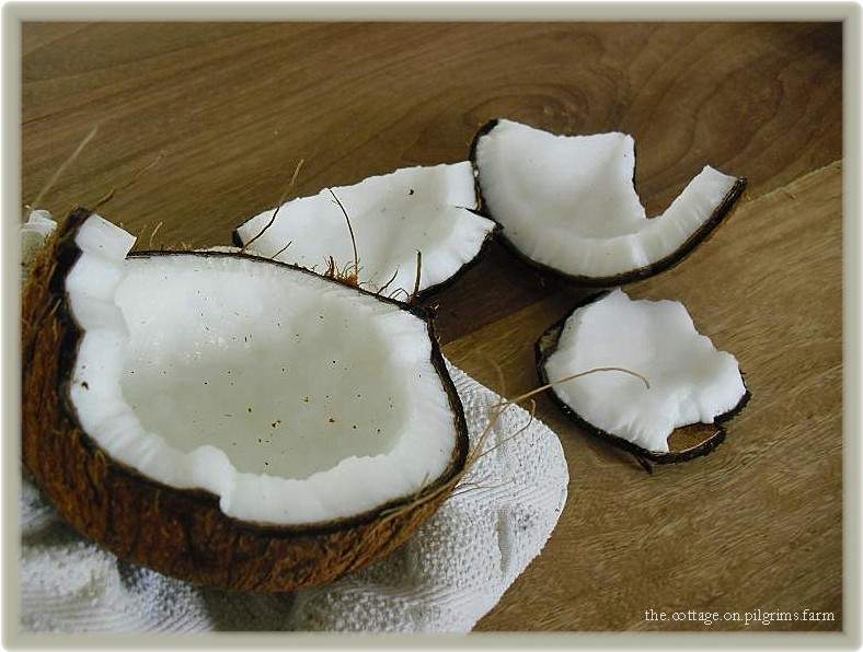 Cottage Life on Pilgrim's Farm: When Coconut Heads get Fresh...