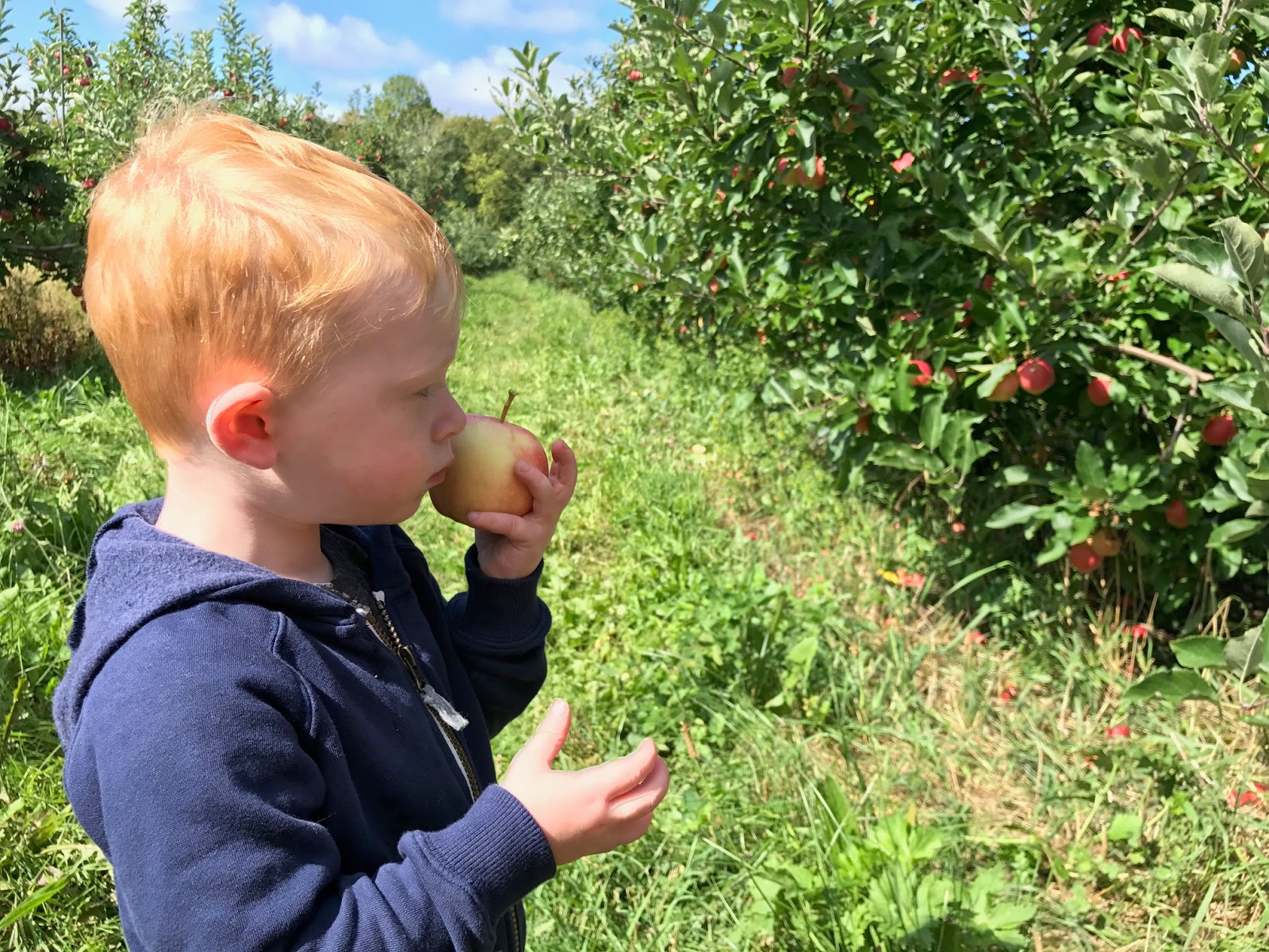 appledale orchards - Loving Life Moore