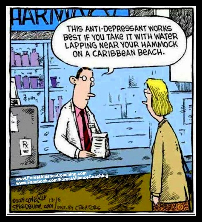 The Dragonfly Forest: Fun Spring Cartoons - Cartoon Saturday!