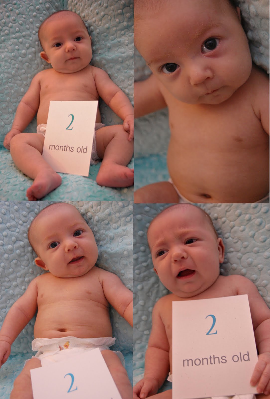 2 months - Color Me Meg