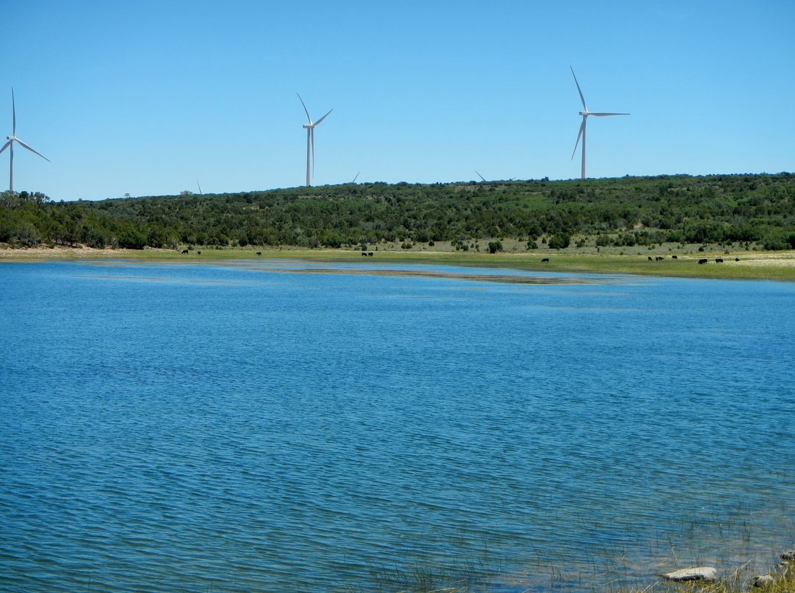 The Southwest Through Wide Brown Eyes: Once Again in the North Lower ...