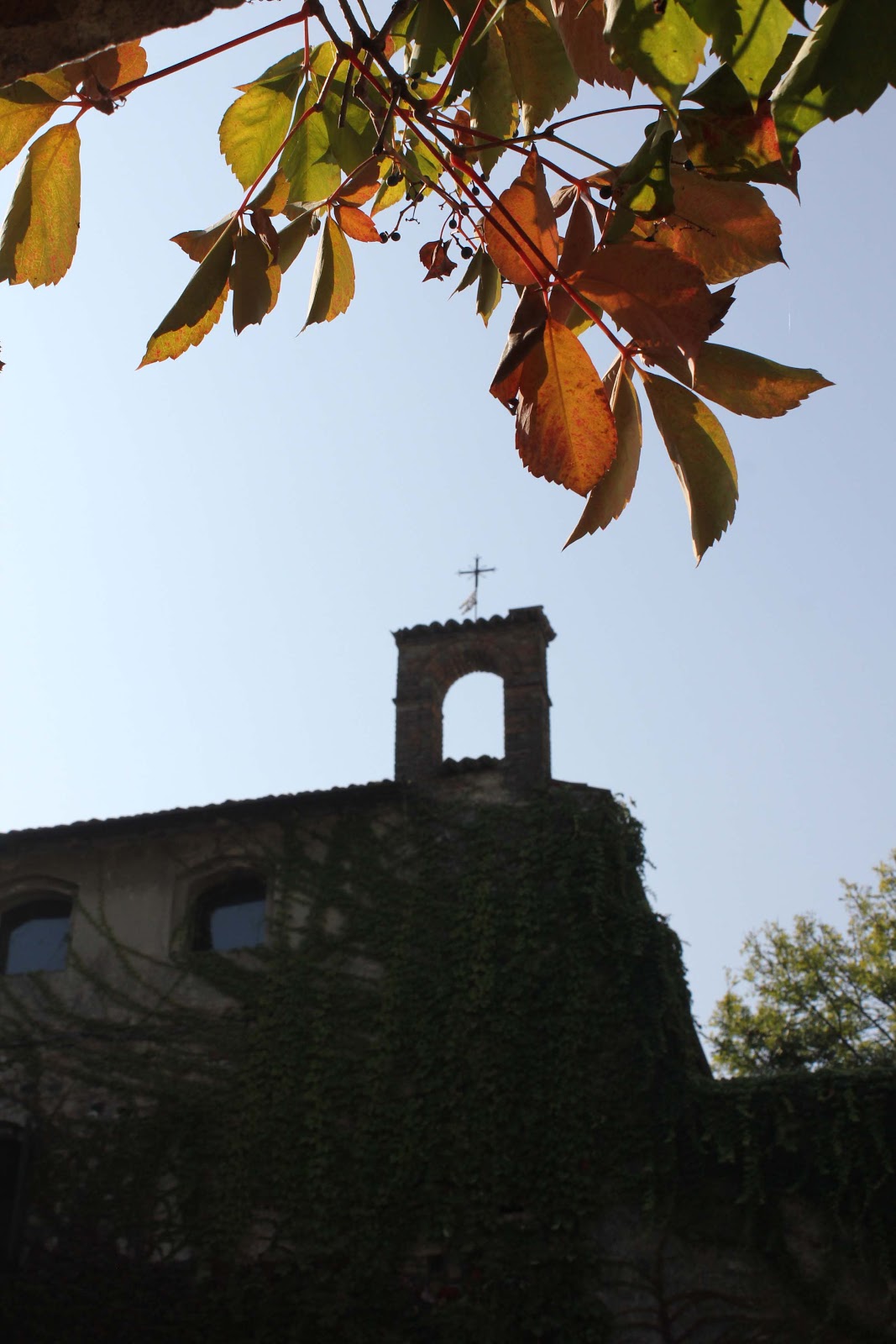 Emilia Misteriosa: MISTERIOSE PRESENZE E SIMBOLI ESOTERICI AL CASTELLO ...