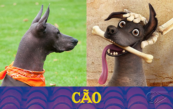 VIVA | COCO - 12 curiosidades sobre o teaser poster - Pixar Brasil Blog