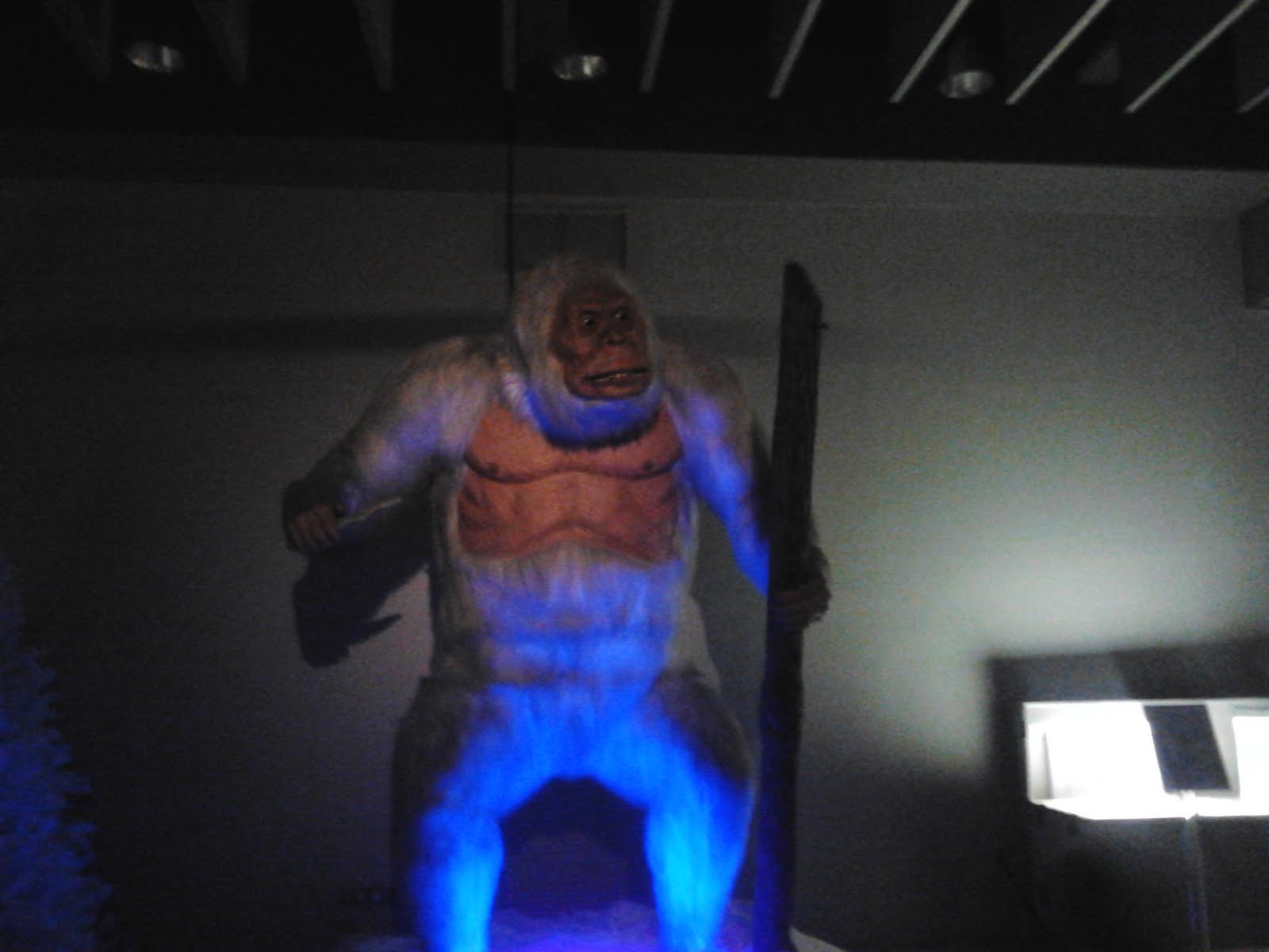 1o ΣΥΣΤΗΜΑ ΝΑΥΤΟΠΡΟΣΚΟΠΩΝ ΠΕΙΡΑΙΑ