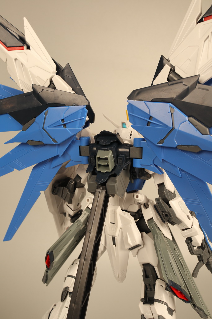 nu Type: Daban Model 6650 Freedom ver.2.0 (review)