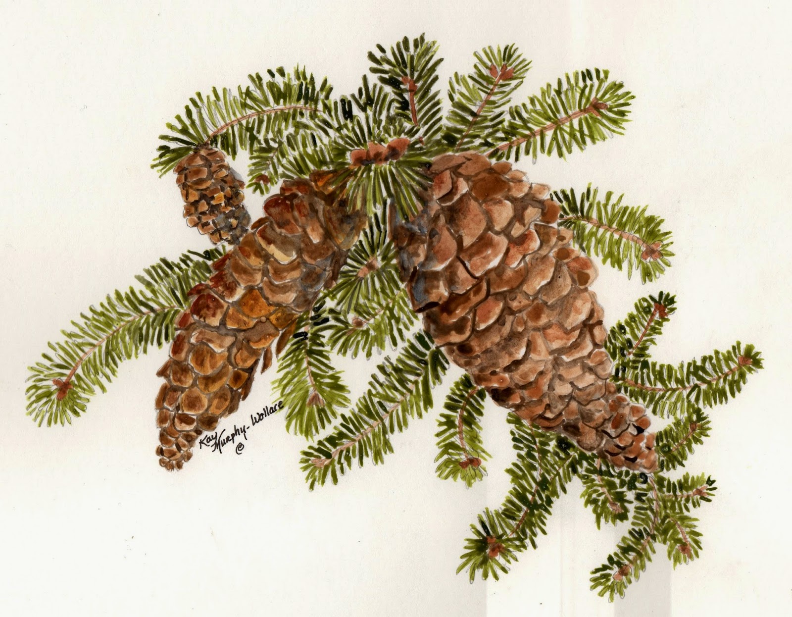 Kay Murphy's Studio Kay Murphy-Wallace:artist: Greeting Cards