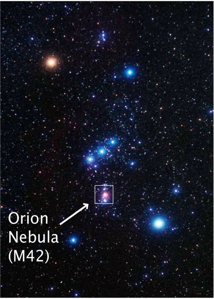 Diary of a Right Wing Pussycat: The Horsehead Nebula Within Orion Nebula