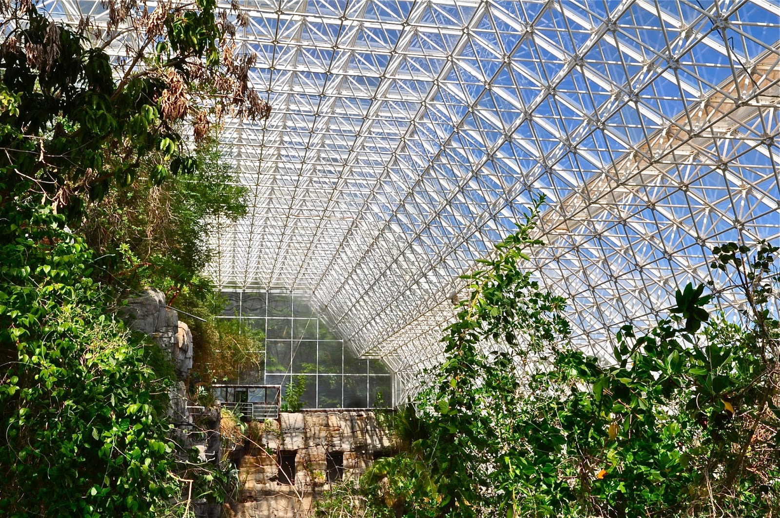 Scottsdale Daily Photo: Photo: Biosphere 2 Interior