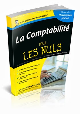 Télécharger Gratuitement : La Comptabilité Pour LES NULS PDF - cours en ...