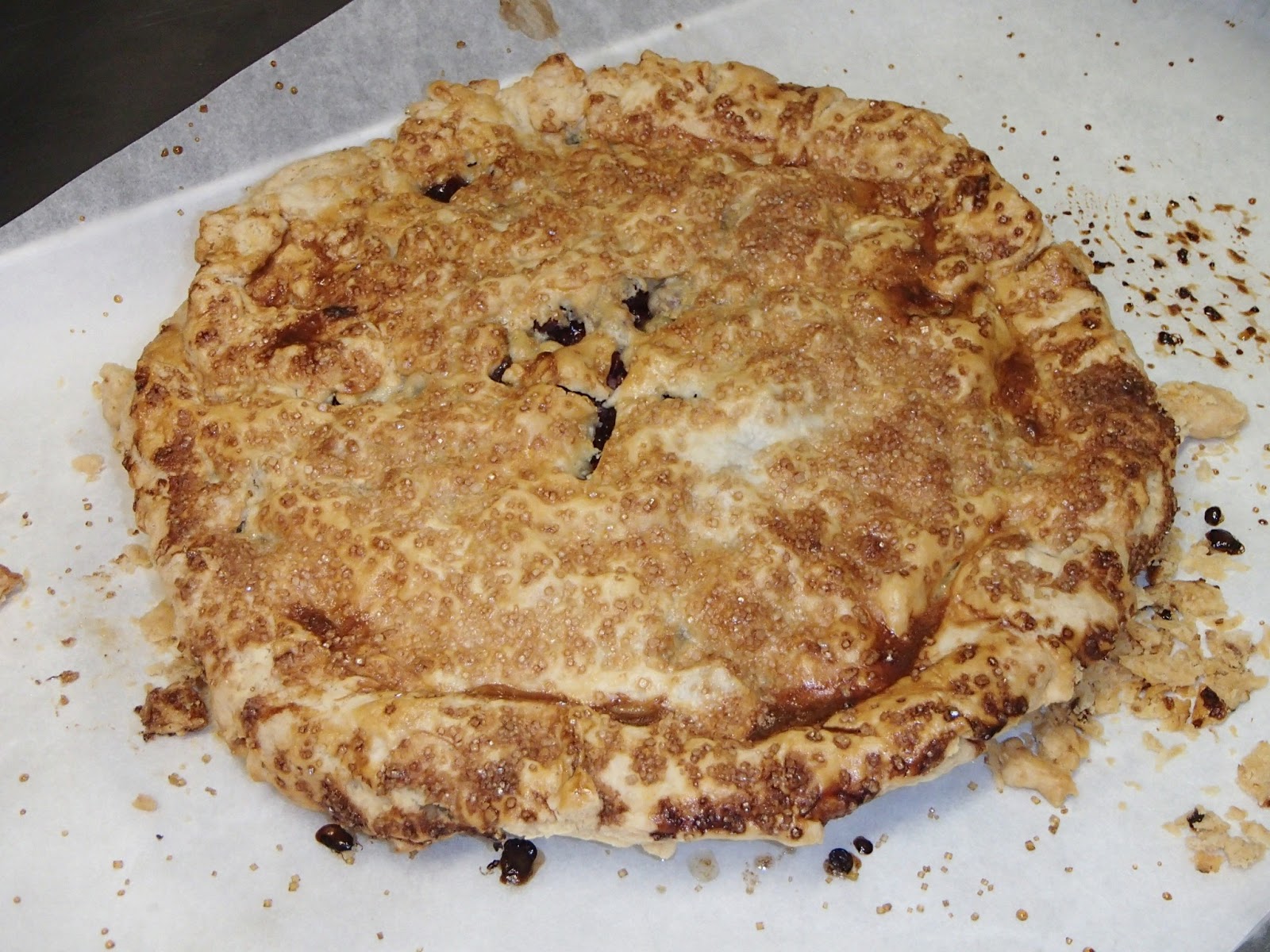 Ridge Berry Farm: The Purple Raspberries are Back