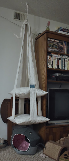 We review a cat trapeze ... WHAT?!? - Momma Kat and Her Bear Cat