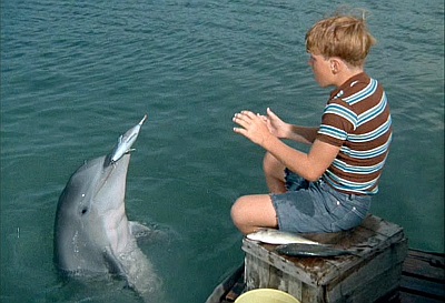 HK AND CULT FILM NEWS: FLIPPER: SEASON ONE -- Blu-ray Review by Porfle