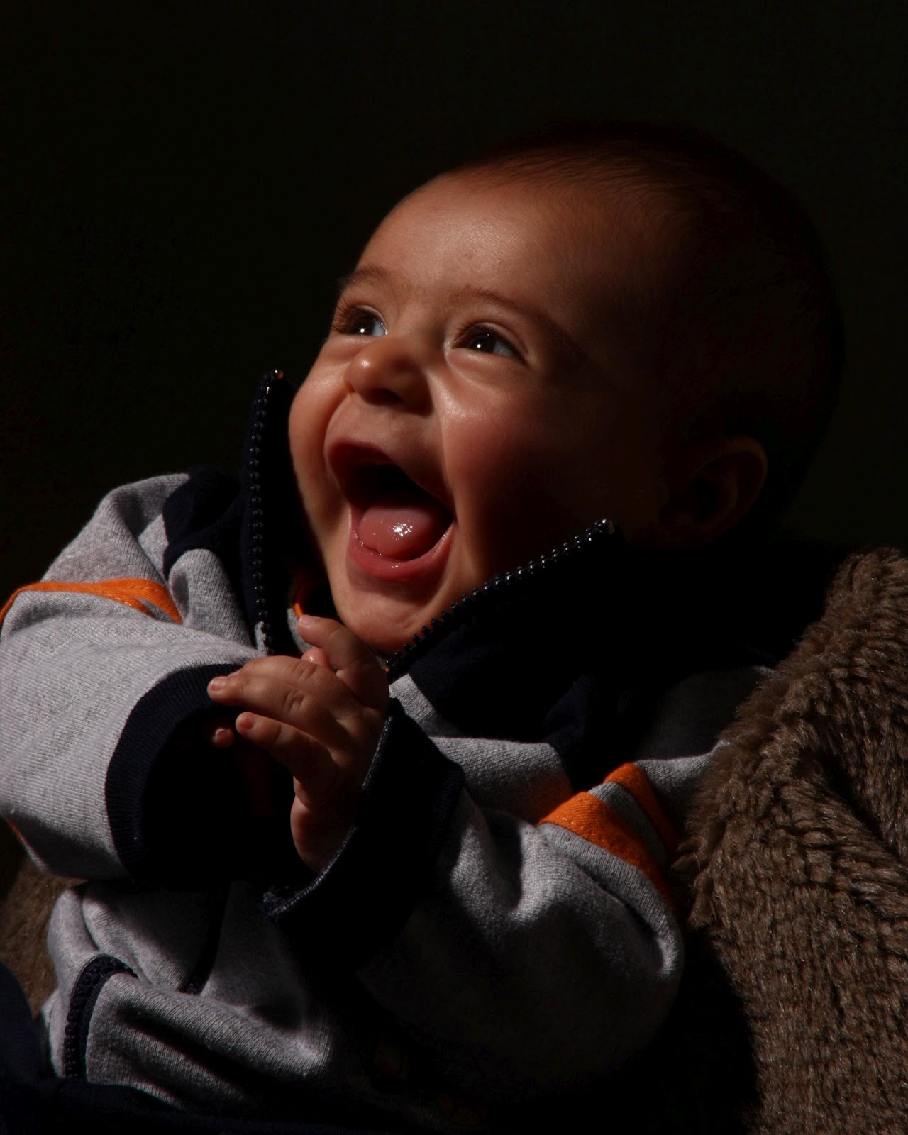 Conejo veloz: Conejo photo studio