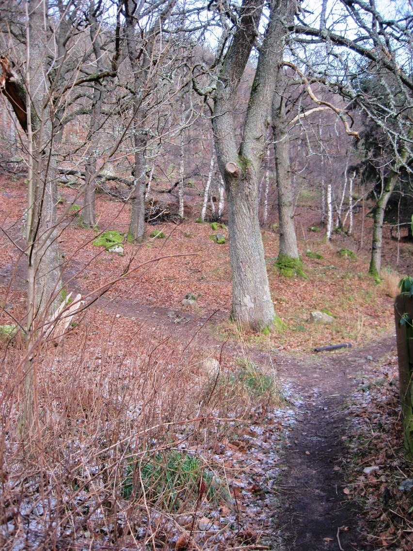 Deesidewalks.com: Around Craigendarroch