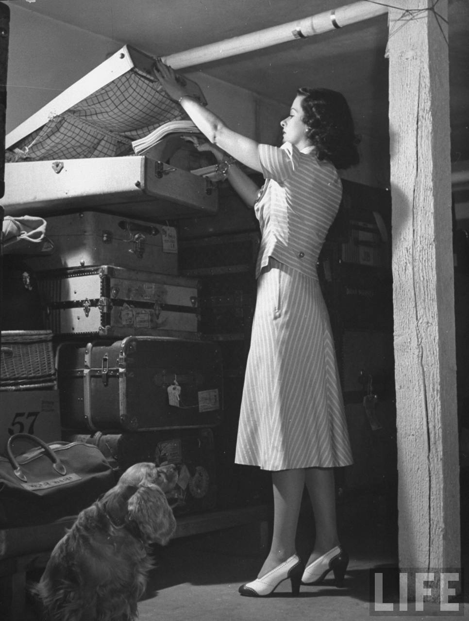 Fashionable Forties: Meet Lipton