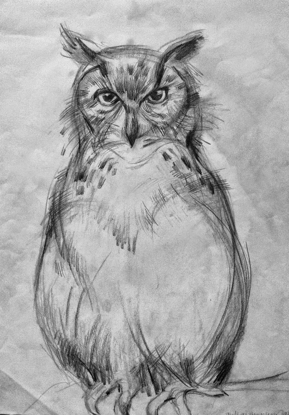 s k e t c h . b o o k: animal sketches