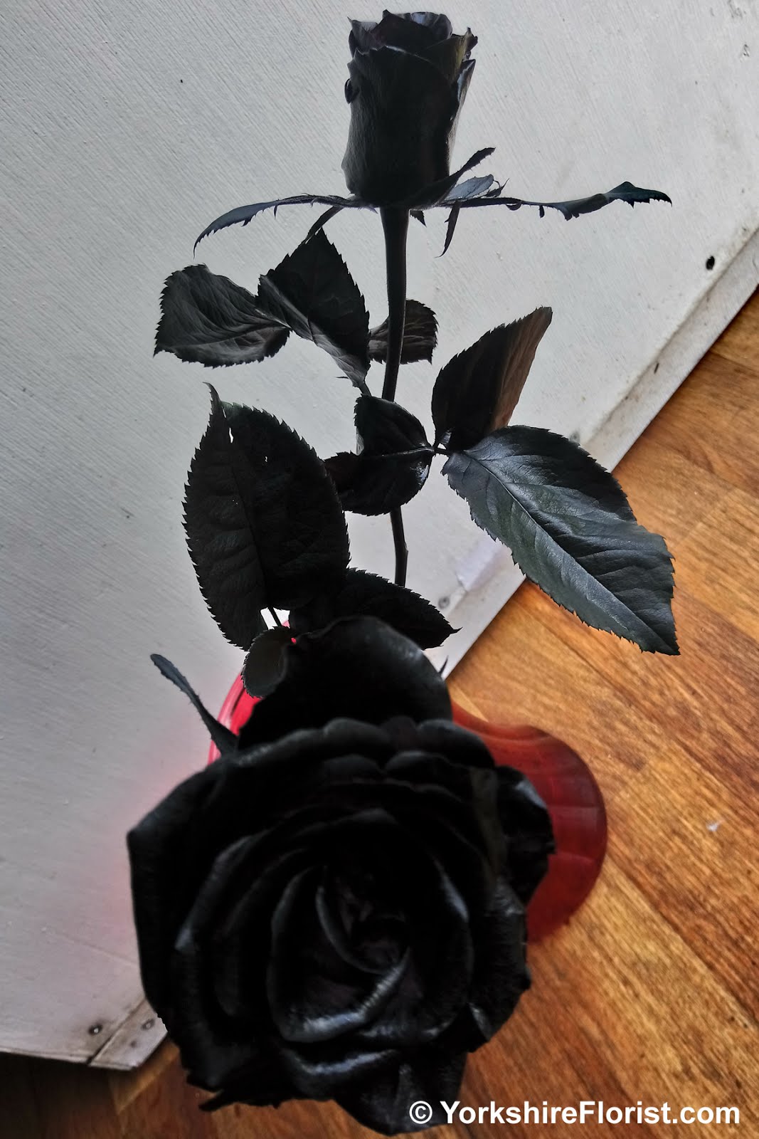 Yorkshire Florist: Black Roses