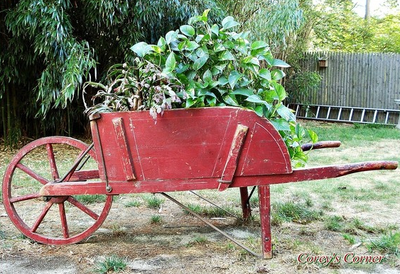 basic wonders of the world - wheelbarrows - Inner Wild wilderness wear ...