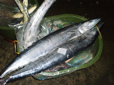 Philippines Fish Port: Tanigue Fish in Salinas