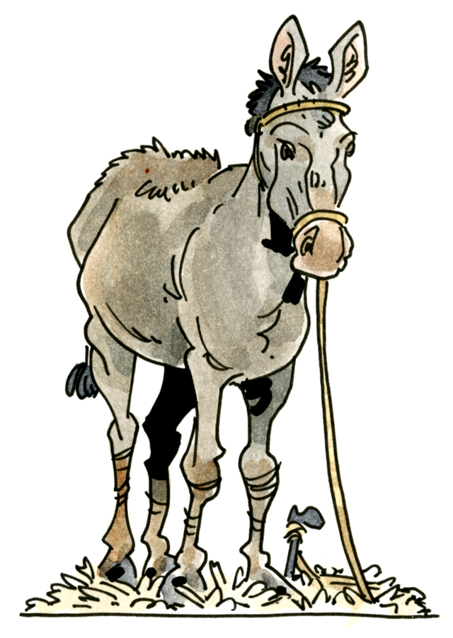 Chris Schweizer's Old Blog: Advent Calendar Day 8: Ox and Ass