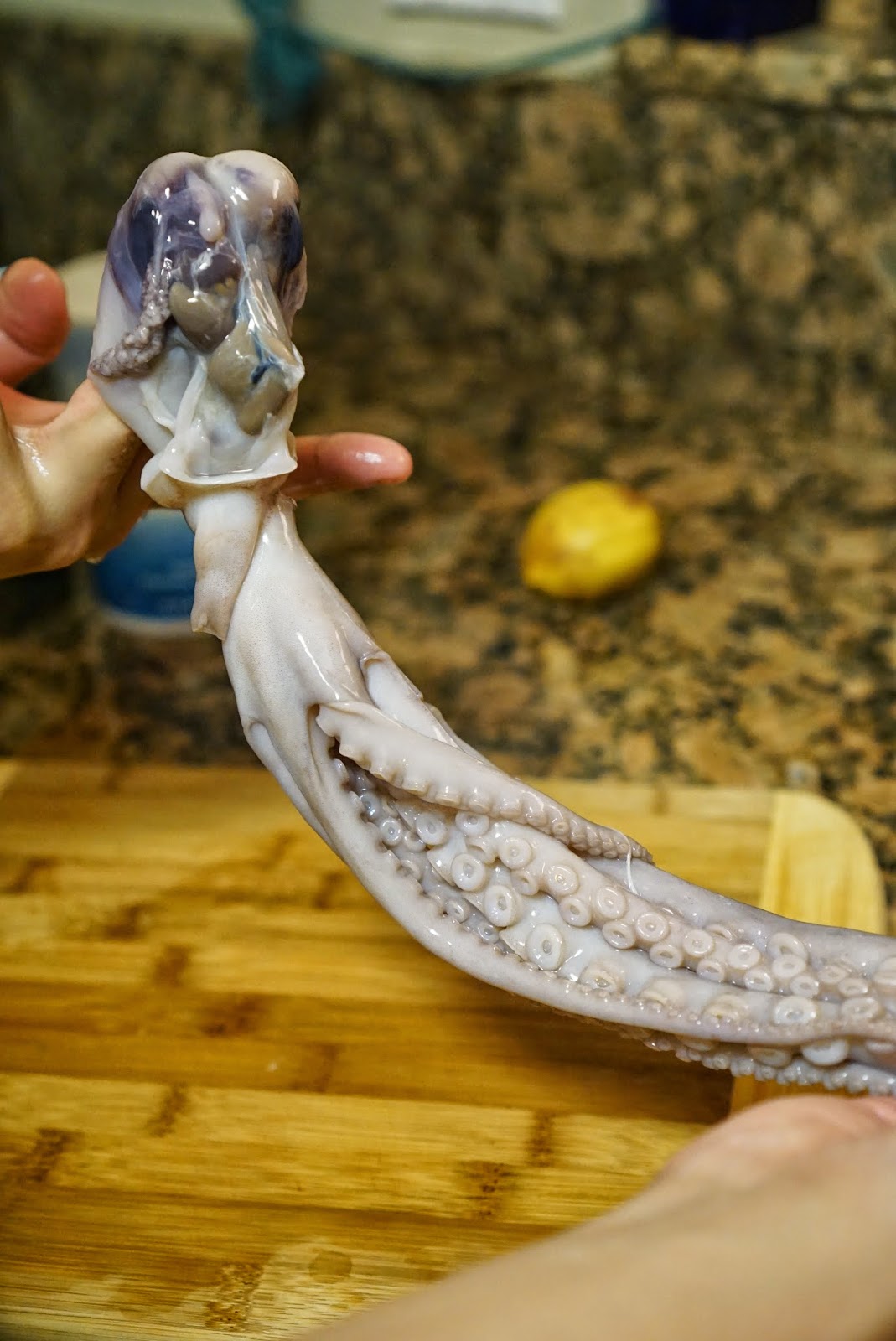 Day in the Life of a Hungry Food Explorer: Conquering the Slimy and ...