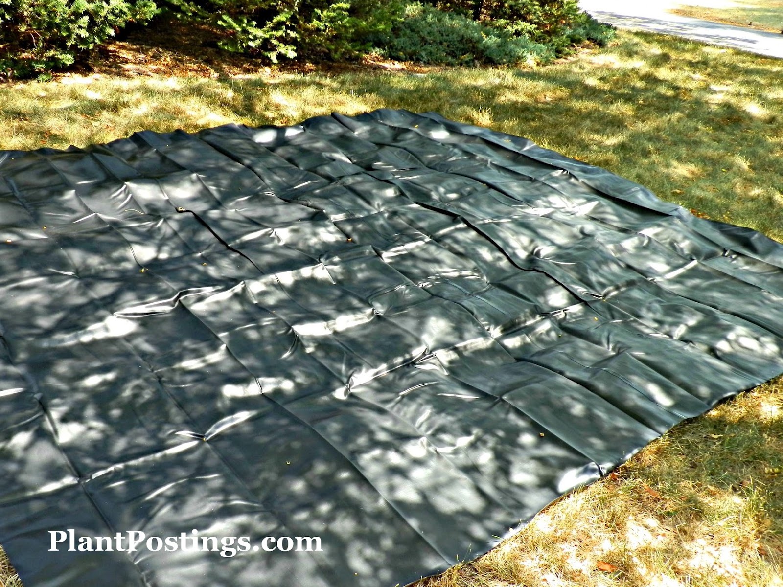 PlantPostings: How to make an above-ground pond