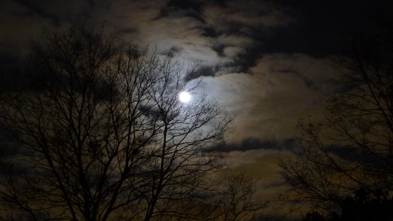 The Virginian: Moonlight