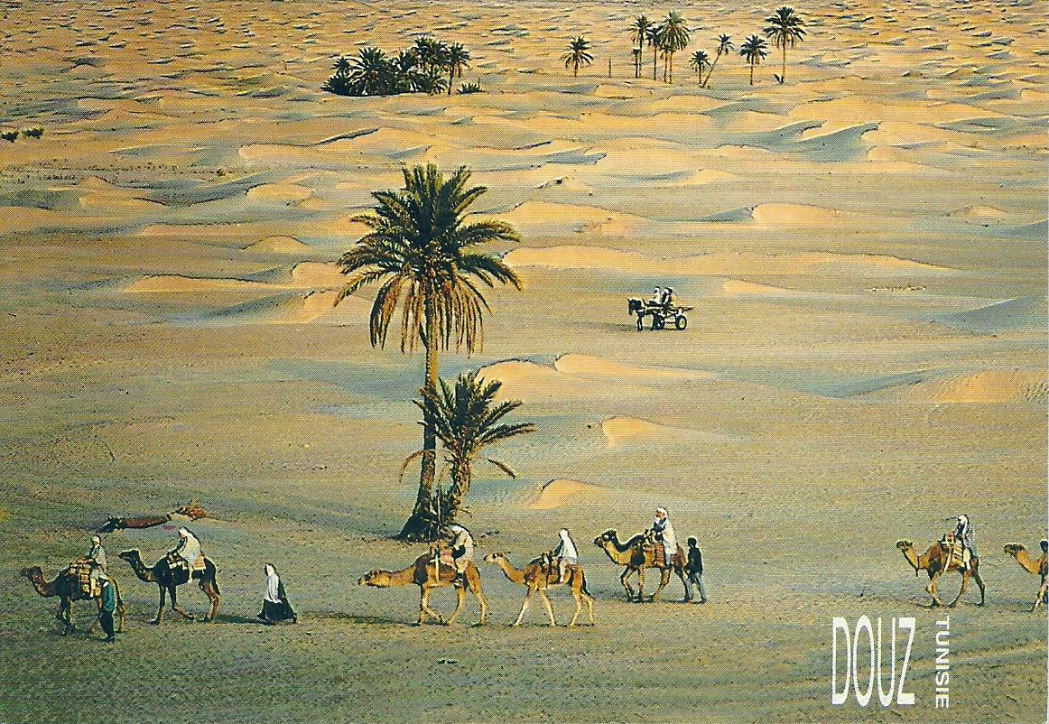 Projek Satu Dunia (One World Project)™: Tunisia - Douz