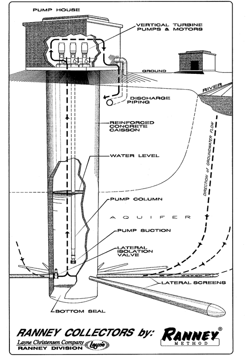 My Tapley Tree...and its Branches: Surname Saturday - Ranney