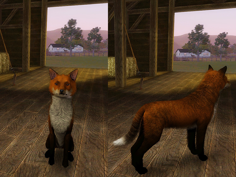 Gelina's Sims 3 Blog: Foxes - Peony and Cookie [requested on my tumblr]