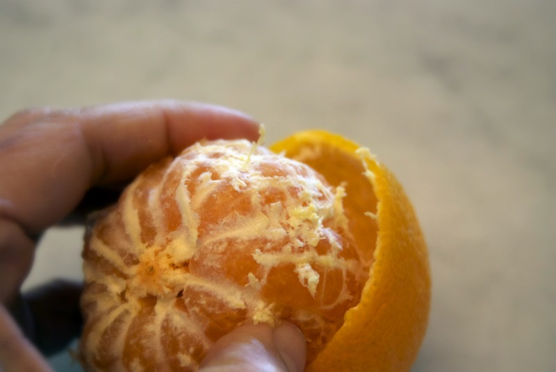 unschool plus: satsuma lamp