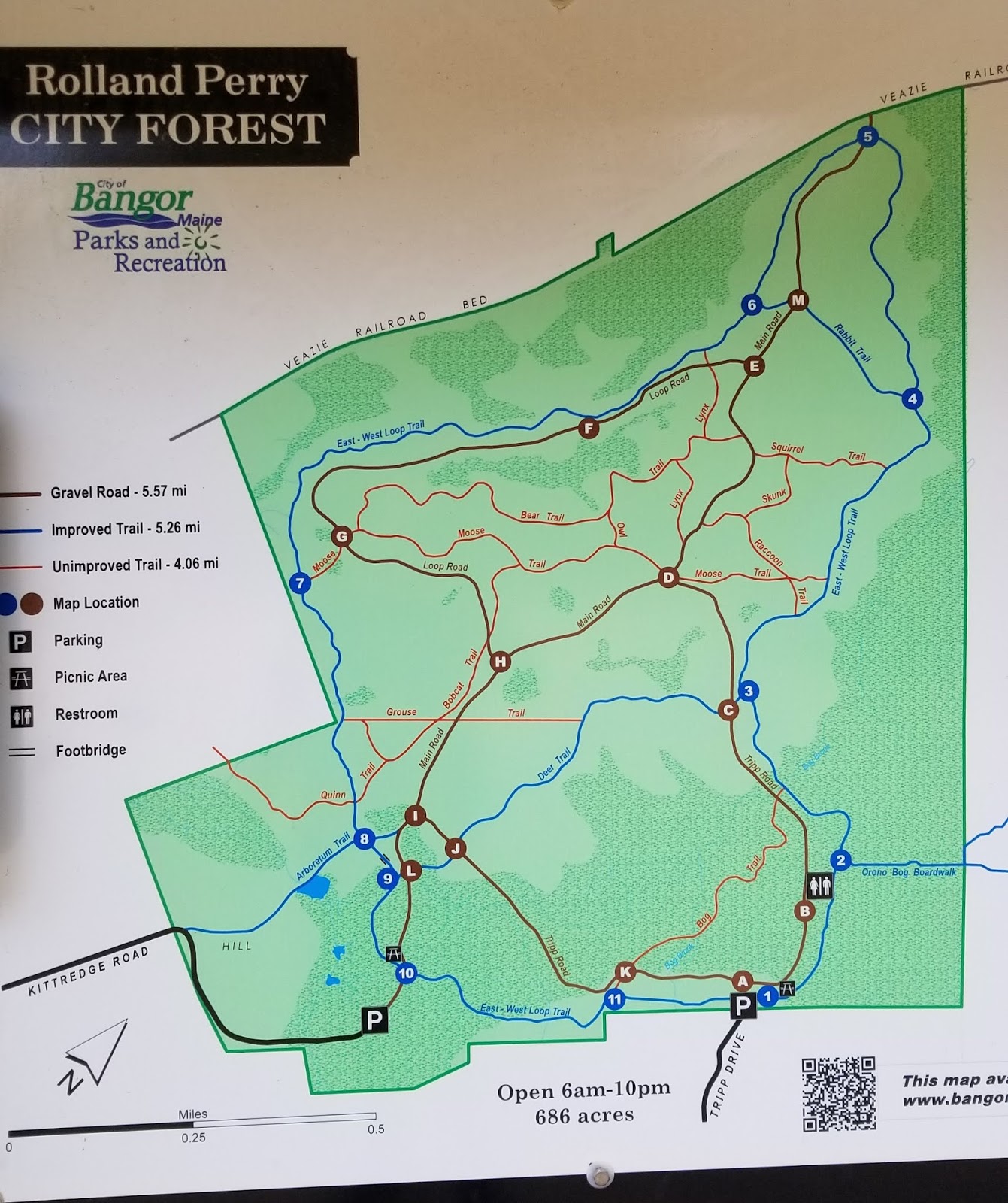 The Albany Hiker: Short Hike #7: Orono Bog Boardwalk