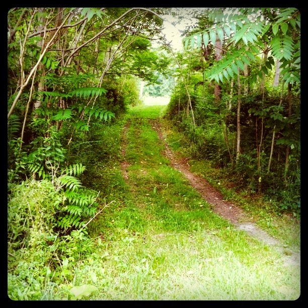 Argetsinger Family Tree