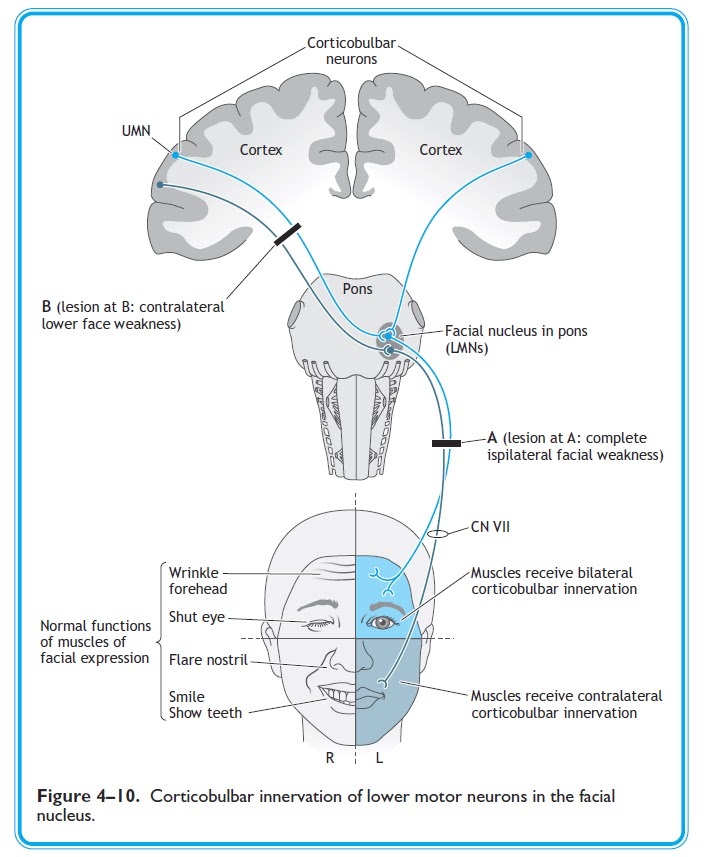 Quike & Vivi's World: January 2012