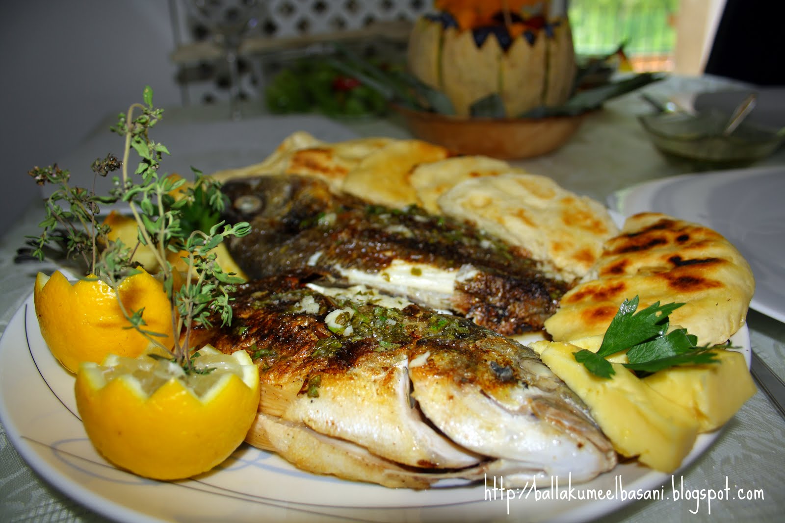 Ballakume Elbasani: Peshku ne zgare