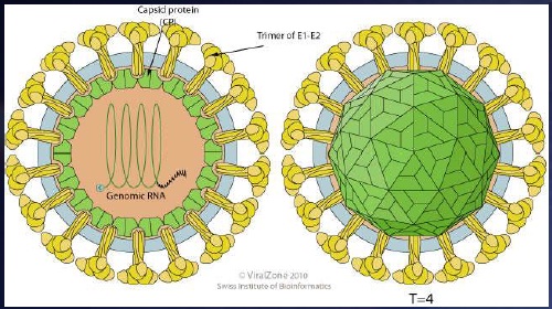 PUBLIC HEALTH: CHIKUNGUNYA