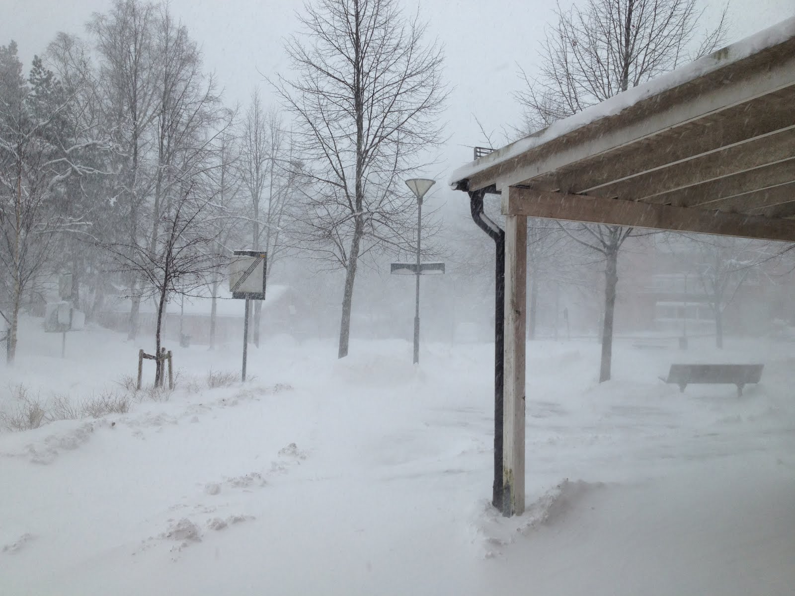 Jessica Pira: Snökaos i stockholm och inställd hoppträning igen!