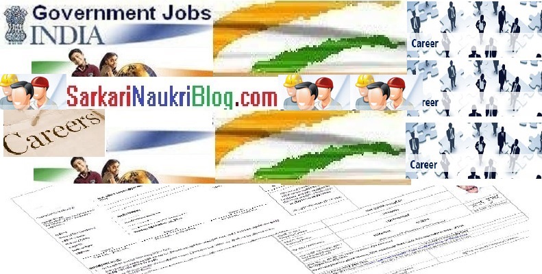 SarkariNaukriBlog completes 11 years in June 2017