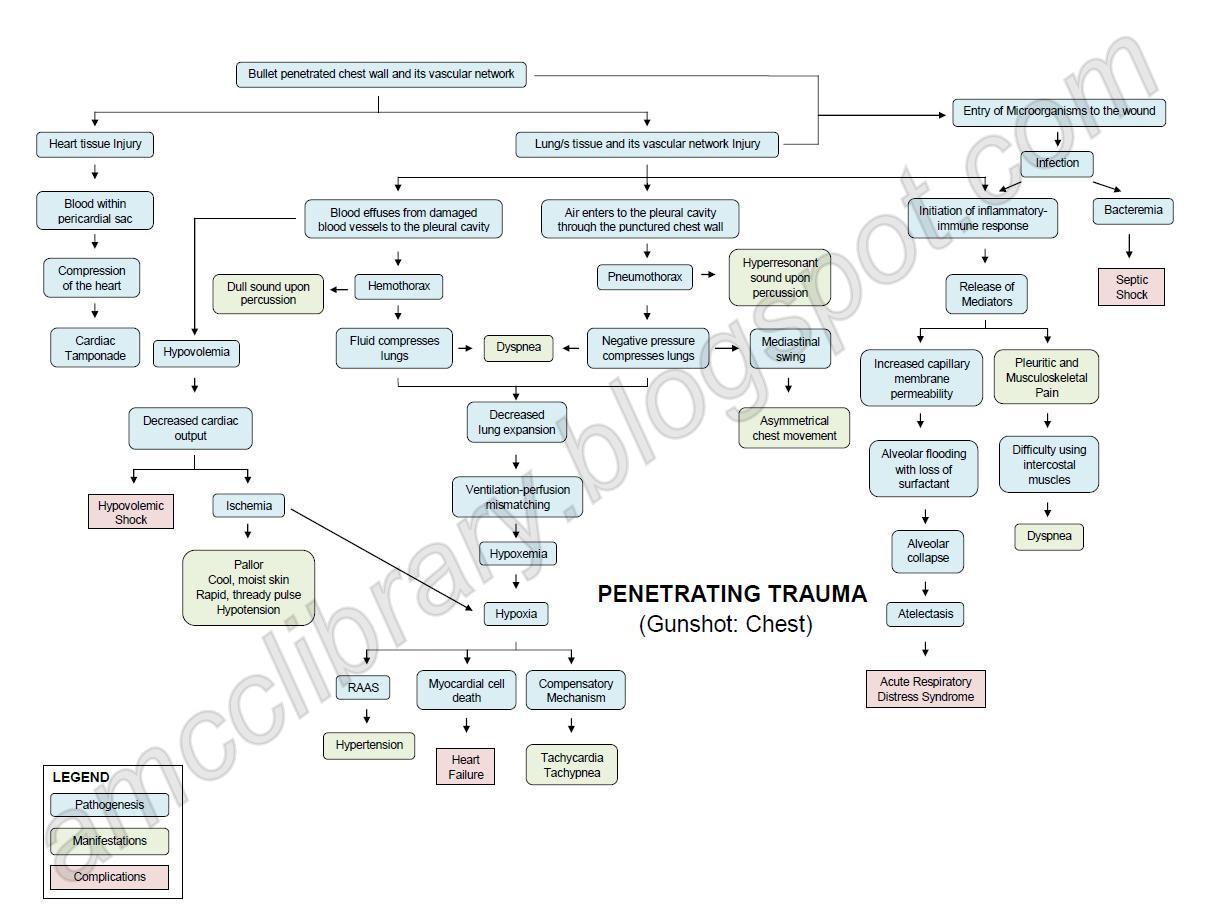 AMCC Library: Penetrating Trauma: Gunshot (Chest)