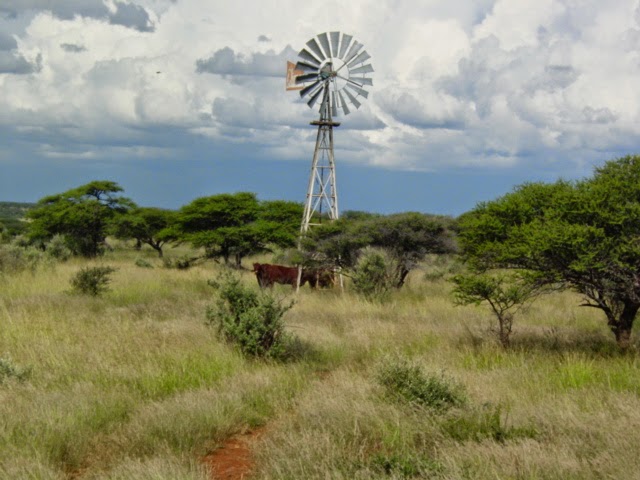 Veld Management Guidelines ~ Amass Farming Tips & Info
