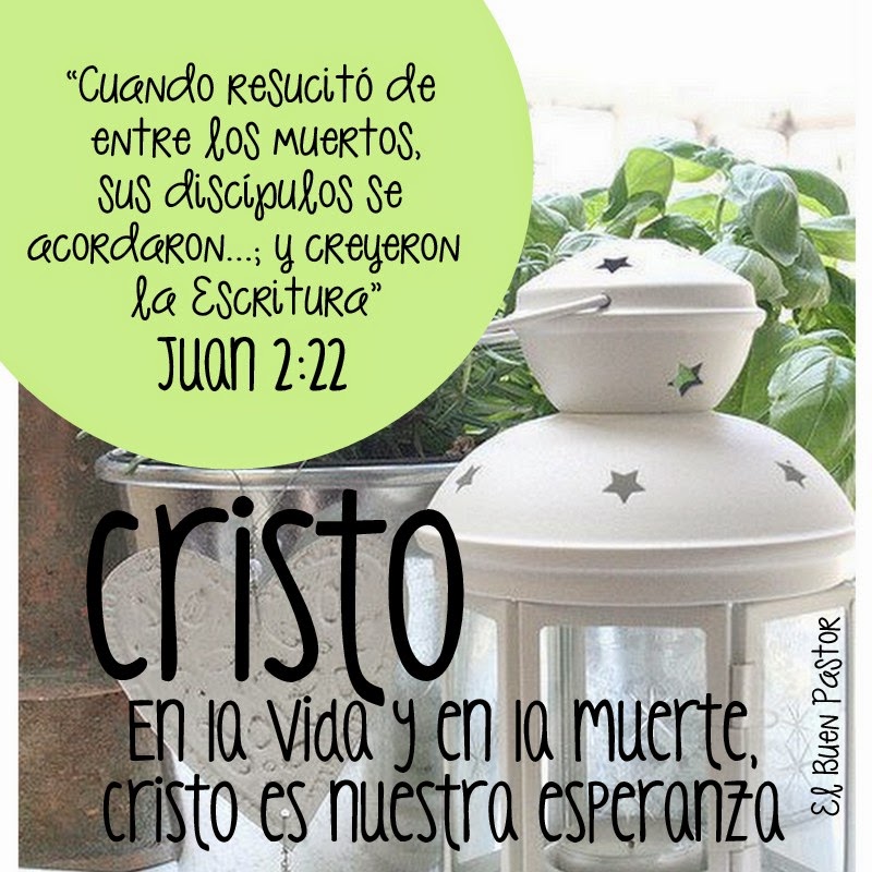 YO SOY EL BUEN PASTOR: noviembre 2014