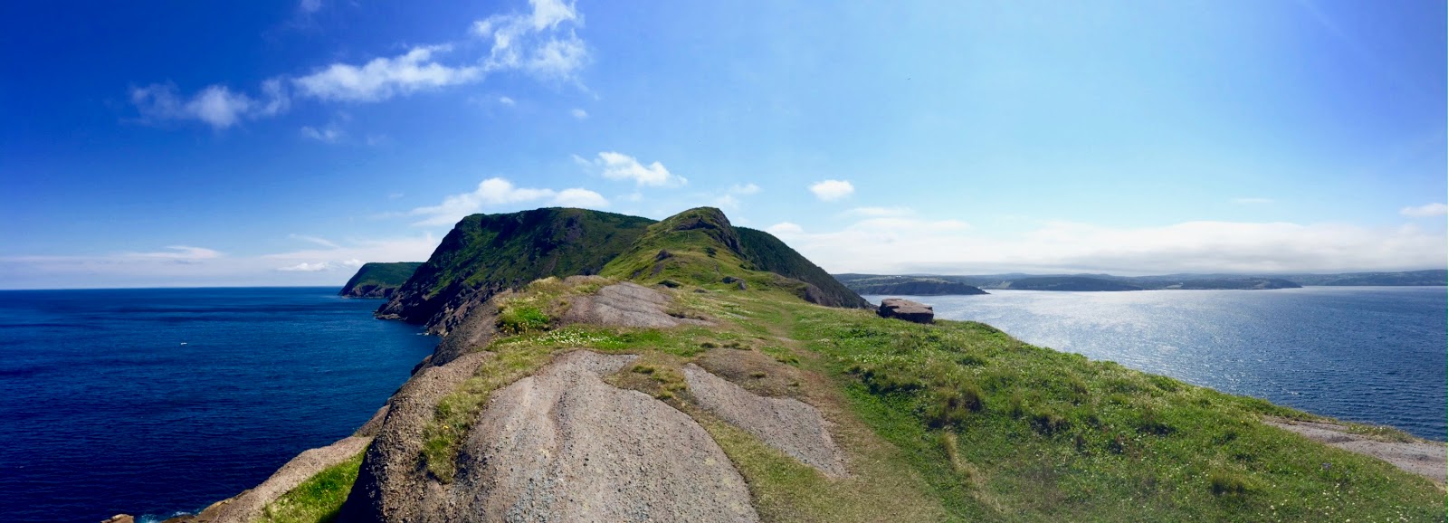 Irish Maple Rover: Torbay Point, Newfoundland & Labrador