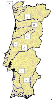netgeografiapaz: os principais rios portugueses - mapa mudo