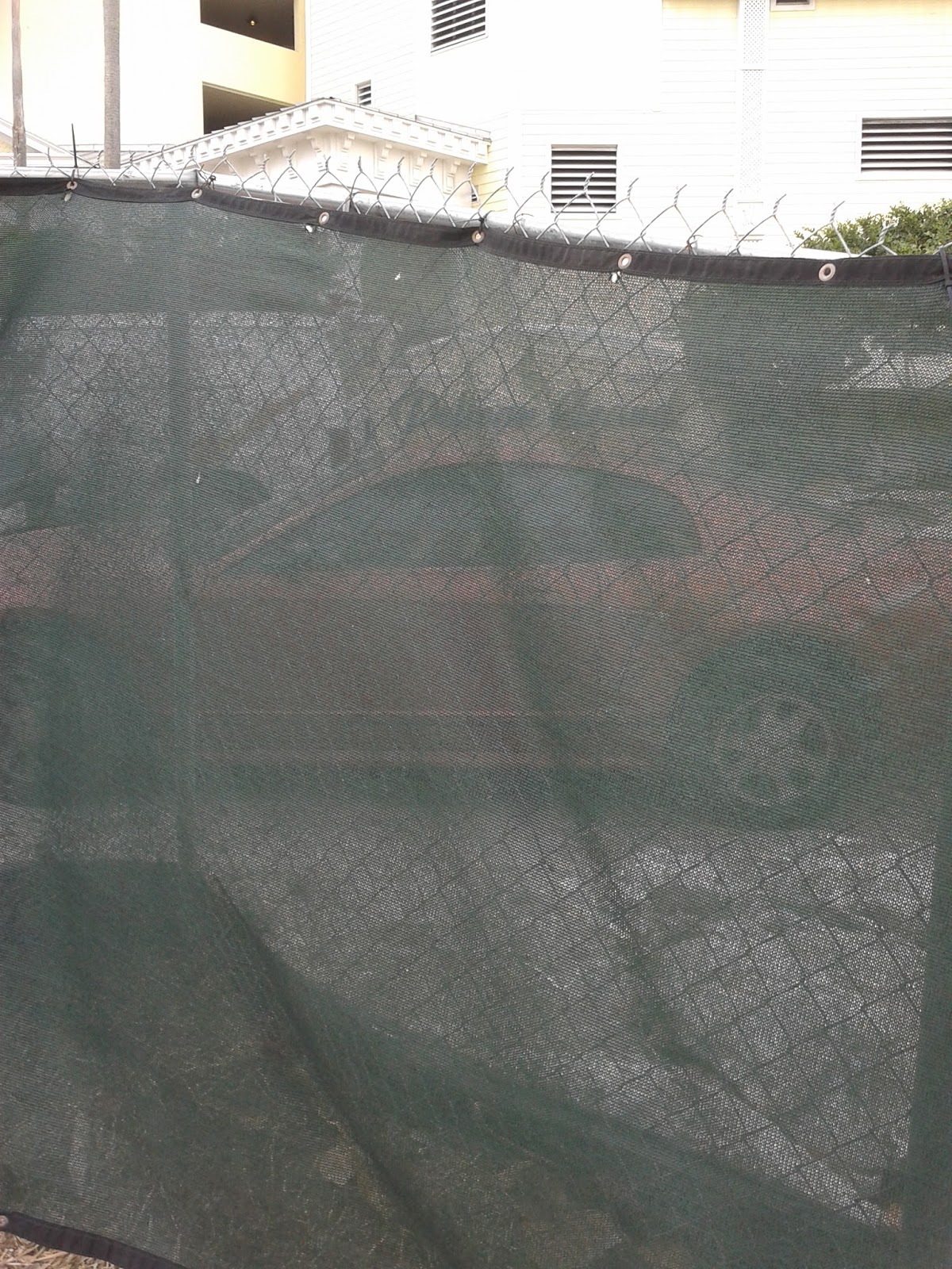 Half Page Takes by John Polich